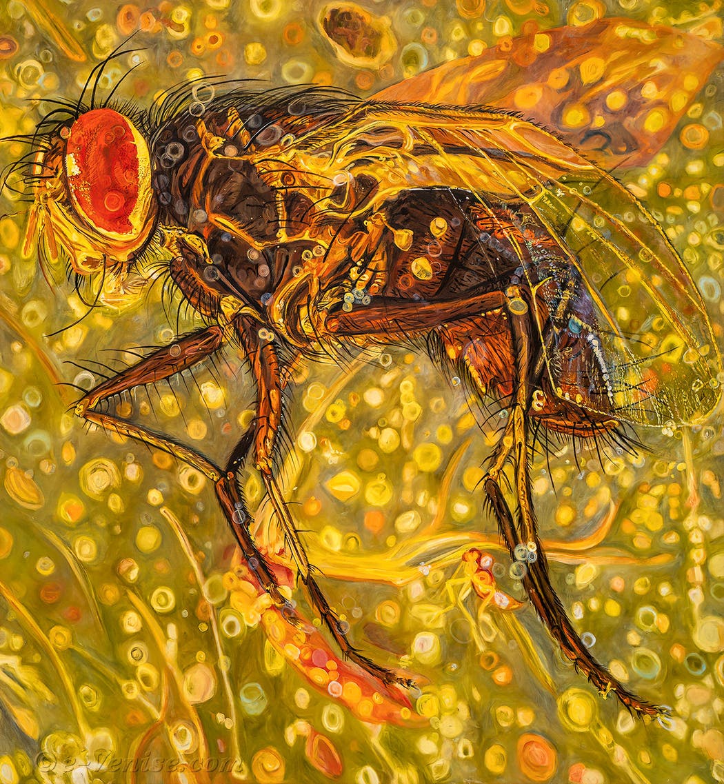 Jana Euler Biennale Art Venise