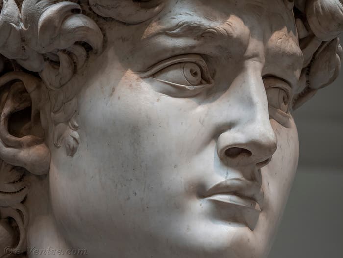 Michel-Ange David jeune athlète Galerie Accademia Florence