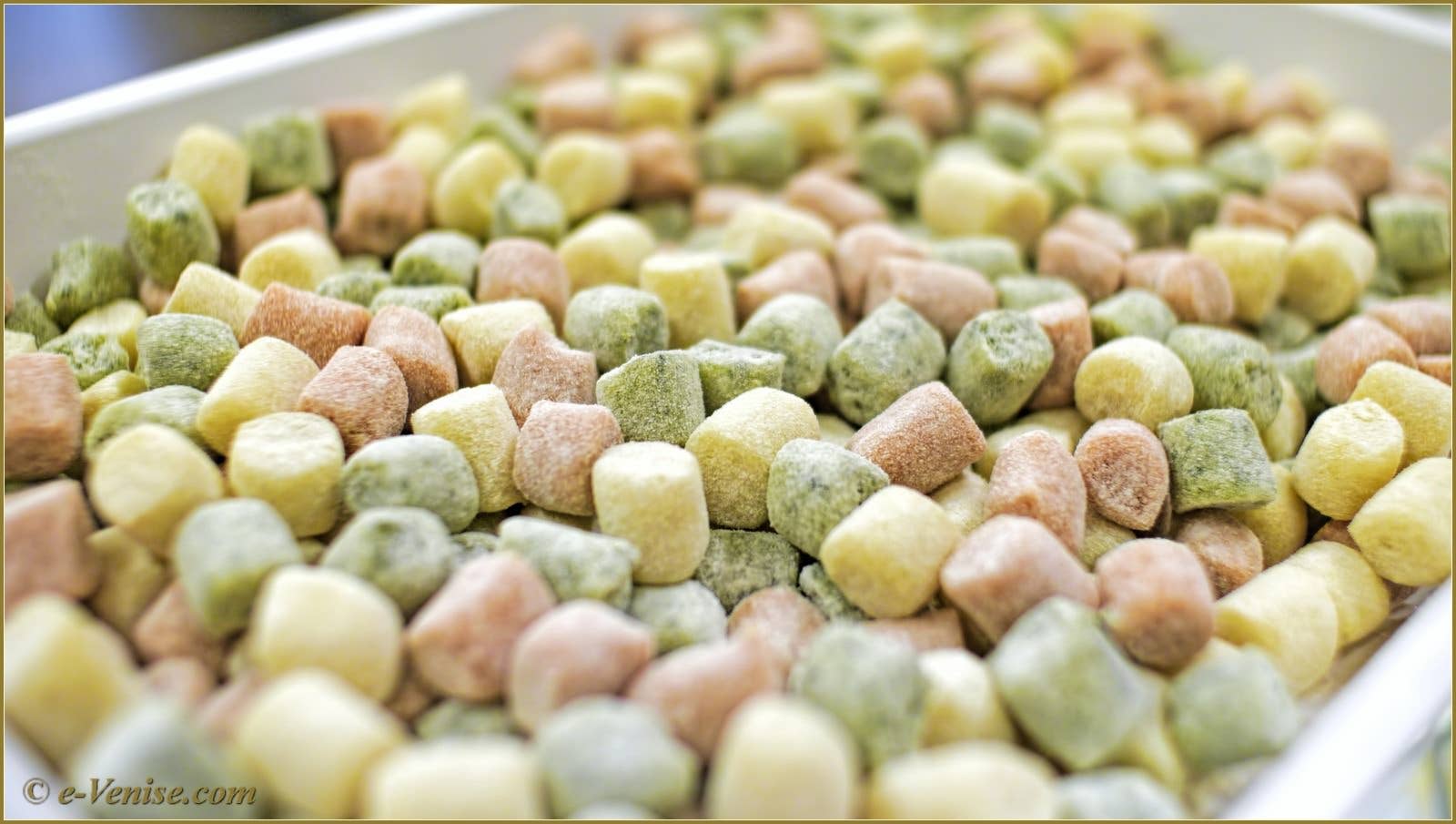 Best Pasta Tagliatelle Ravioli Gnocchis in Venice Italy