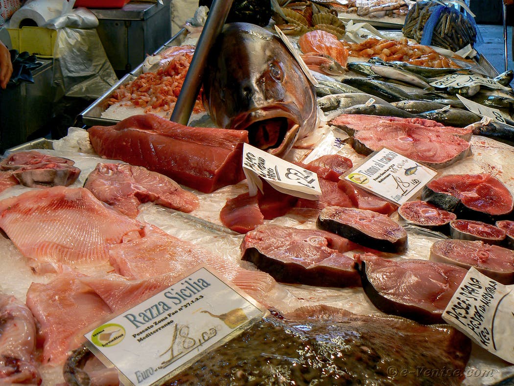 Vente Poisson au Marché du Rialto Venise Pescaria