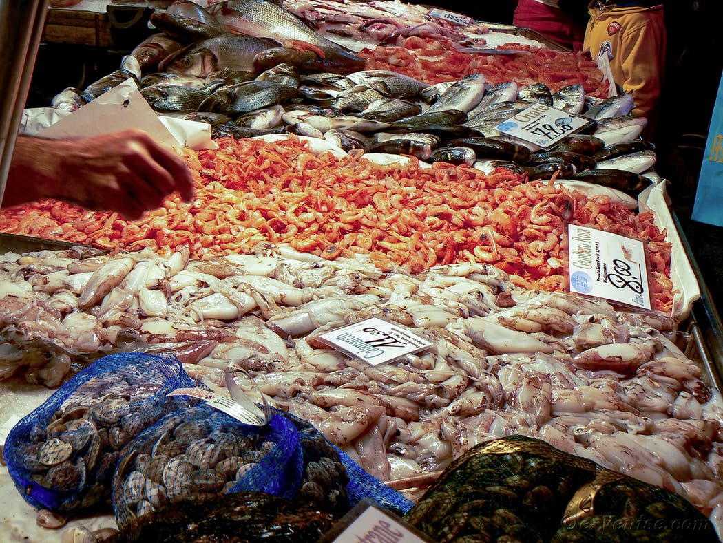 Vente Poisson au Marché du Rialto Venise Pescaria